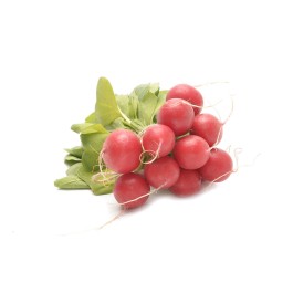 RADISH RED | Spinneys Lebanon