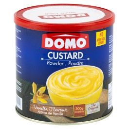 DOMO CUSTARD VANILLA | Spinneys Lebanon
