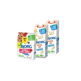BJORG 2xOAT MILK +GRANOLA FRUIT | Spinneys Lebanon
