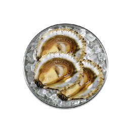 FISH OYSTER FDC N1 | Spinneys Lebanon